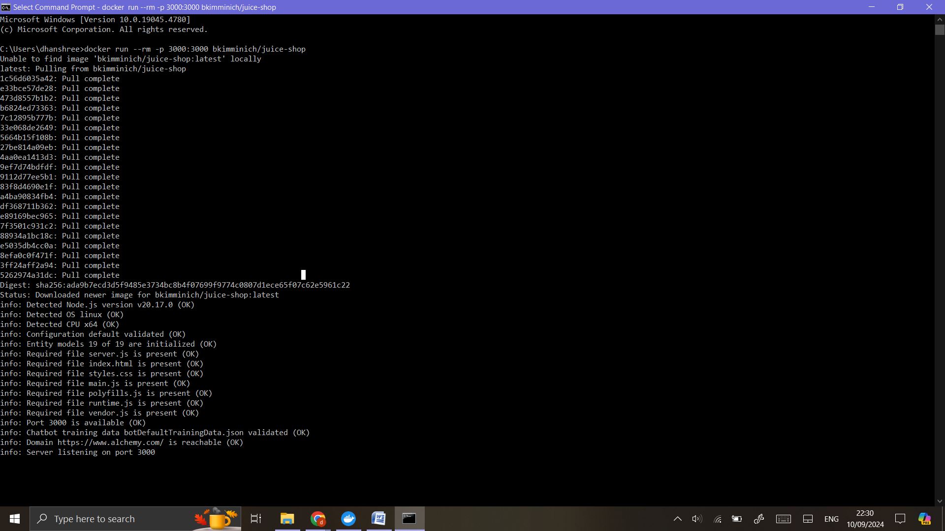 Cross Site Scripting Vulnerability Identifier Using Burpsuite